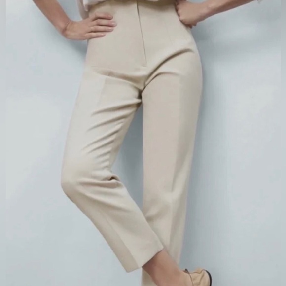 Zara | Pants & Jumpsuits | Zara High Waisted Darted Trousers Blogger ...